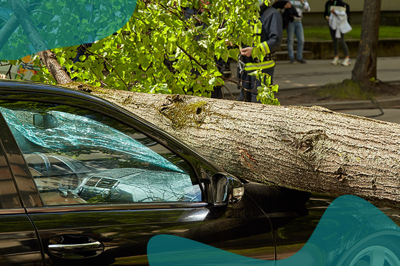 Comprehensive vs. Collision | Key Differences Between Comprehensive ...