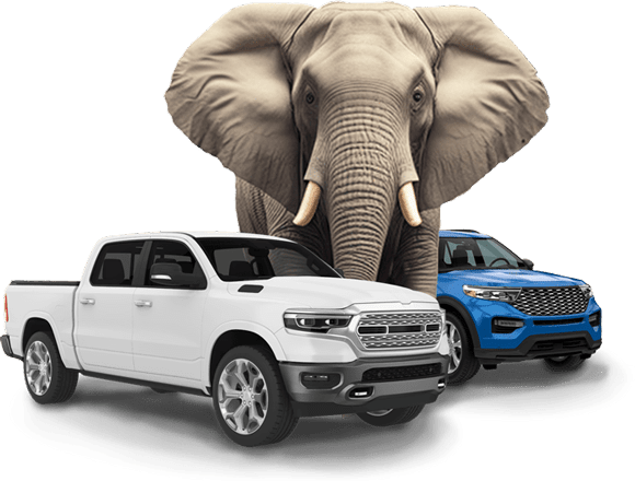 Car Insurance Company | Get Car Insurance Quotes & More - Elephant ...